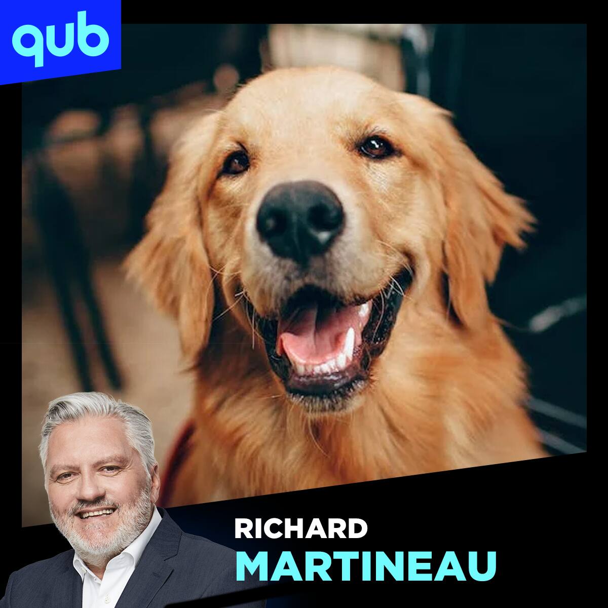 Les chiens pourront aller sur les terrasses cet été! | Richard ...